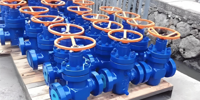 prevent scaling on gate valves by coating - SGON Valve
